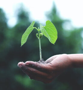 About Us - GEM Enviro