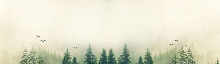 About Us - GEM Enviro